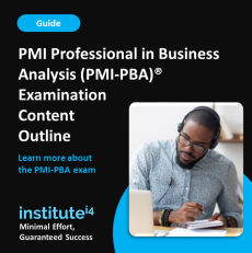 PMI Professional in Business Analysis (PMI-PBA)® Examination Content ...